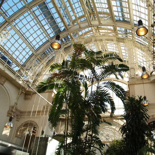 Palmenhaus Vienne | BlocNoteVoyage